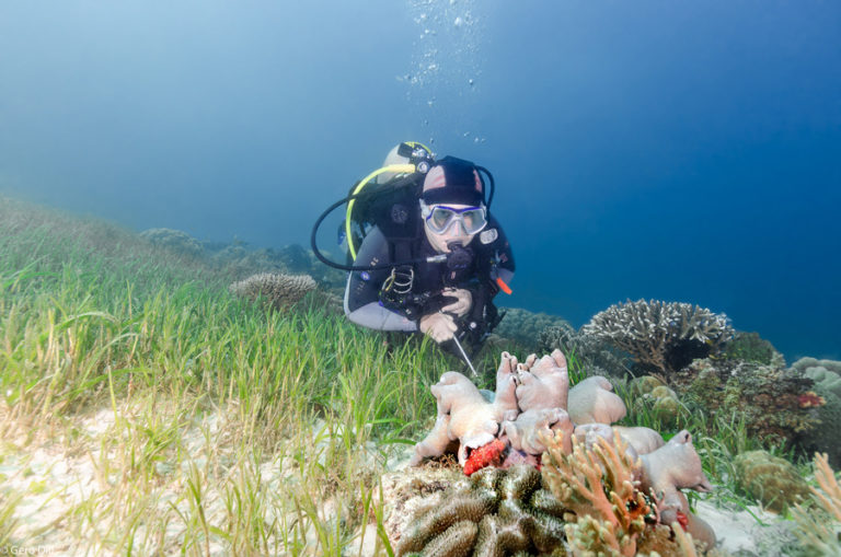 Top 10 Things To Do in Bohol