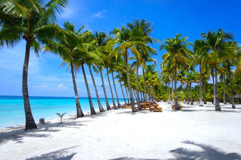 Top 10 Things To Do in Bohol