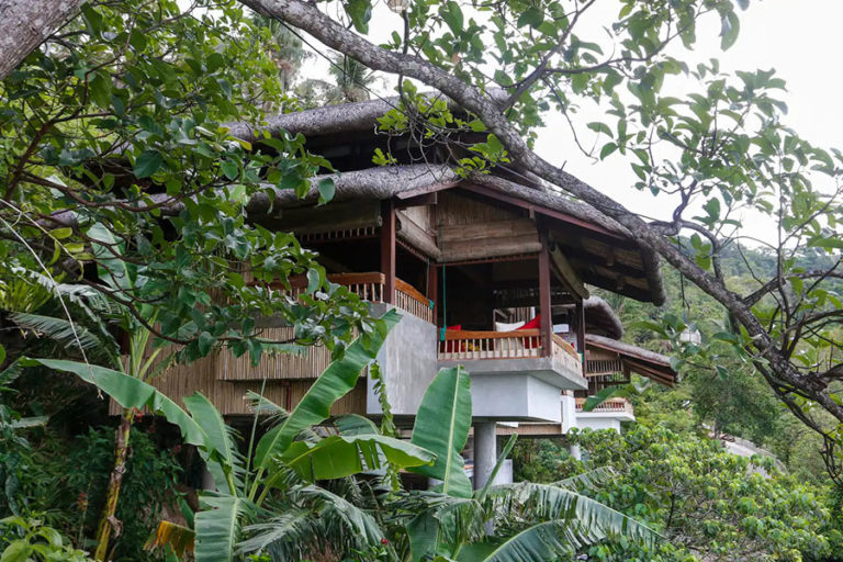 10 Treehouse Accommodations in the Philippines