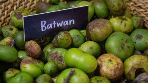 7 Endangered Native Filipino Ingredients