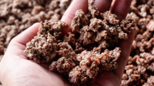 7 Endangered Native Filipino Ingredients