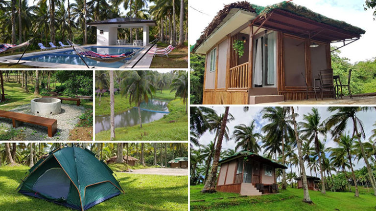 Top 10 Farm Stays & Resorts in the Philippines