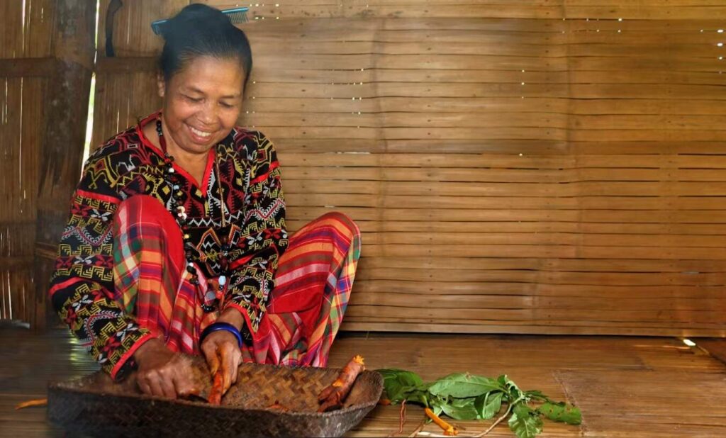 Traditional Filipino Remedies for Common Ailments